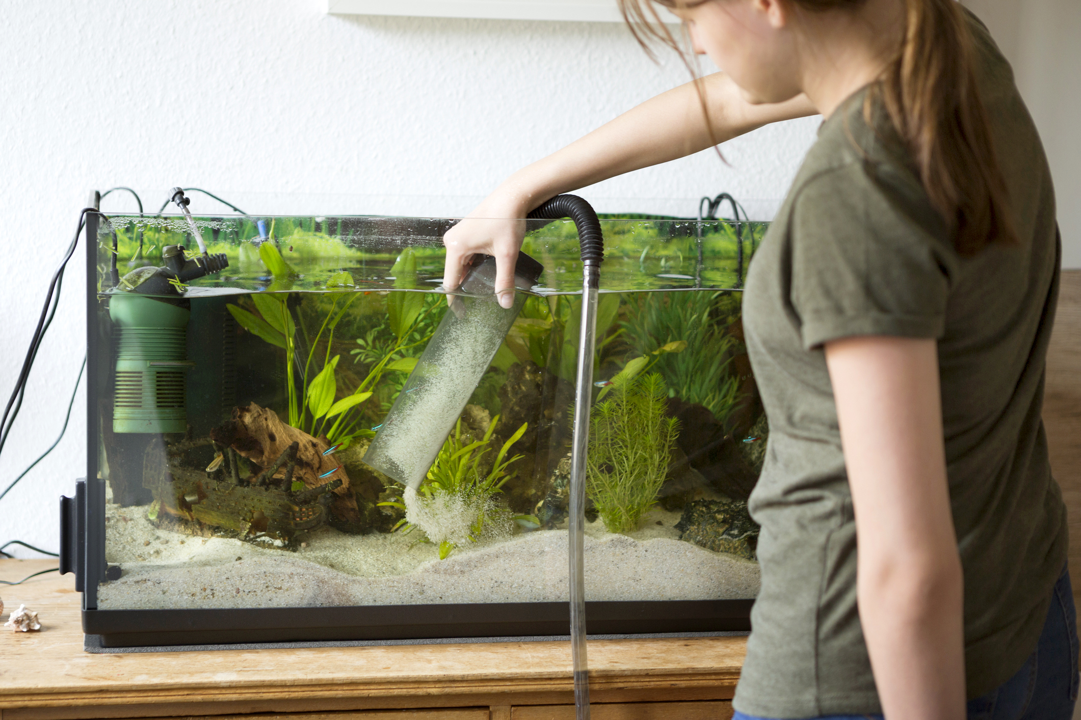 How To Clean A Fish Tank Pet Tips And Tricks