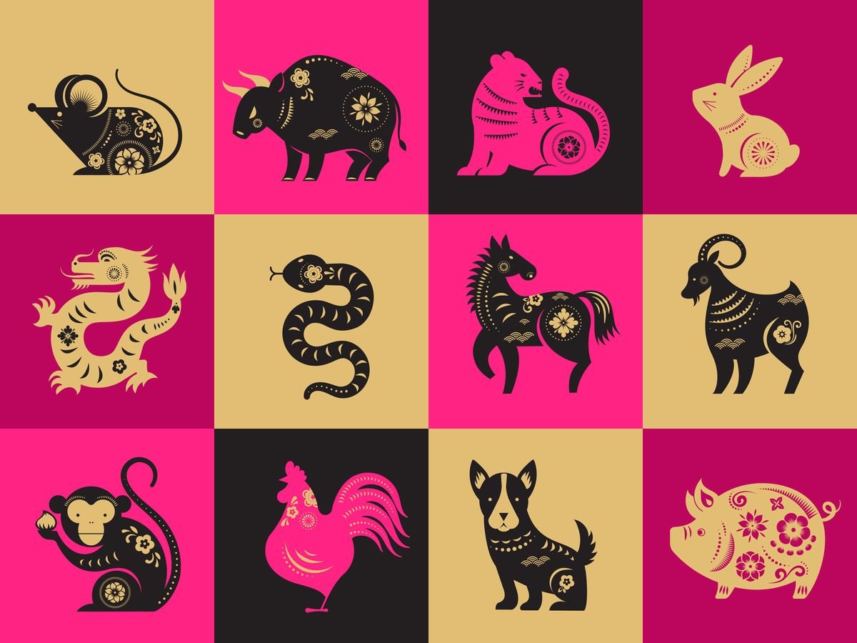 7 Astrology Hacks For A Happier Pet Pet Tips And Tricks 7-astrology-hacks-for-a-happier-pet-pet-tips-and-tricks
